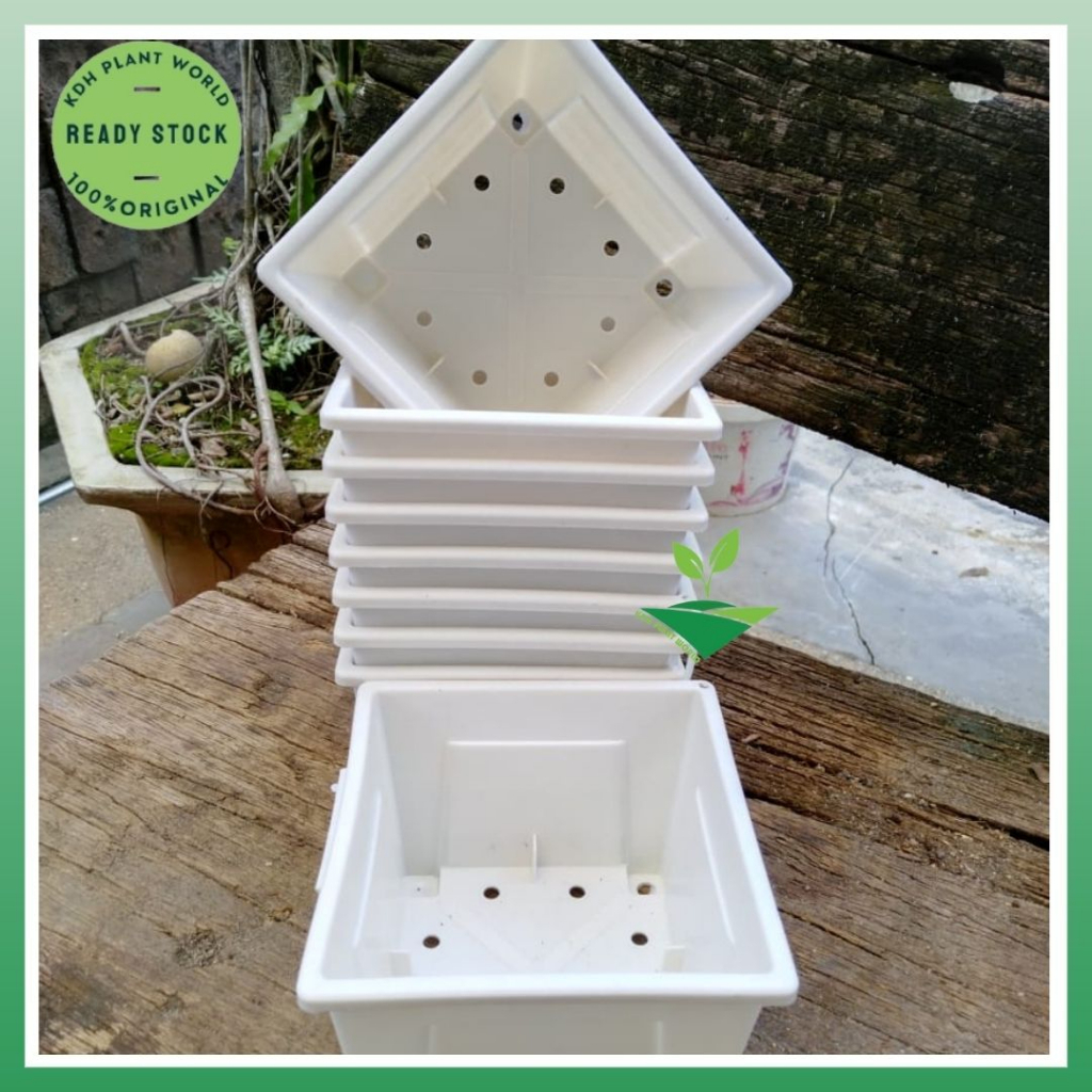 KDH Ready Stock Hanging Flower Pot Succulent Cactus Plant Pasu Bunga ...