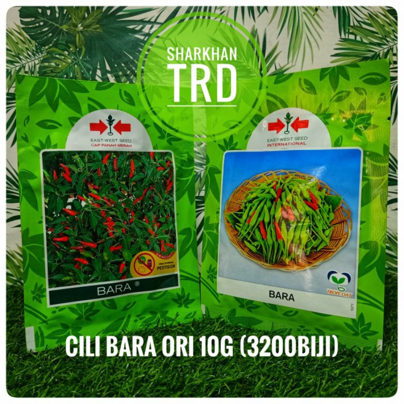 Paket Baru Cili BARA (Ori) 10gm (3200biji) Biji Benih Cili Api Padi F1 ...