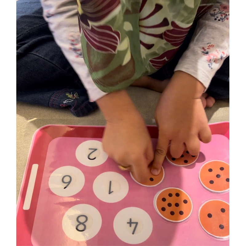 Busy Book Homeschool activities laminate activities | Shopee Malaysia