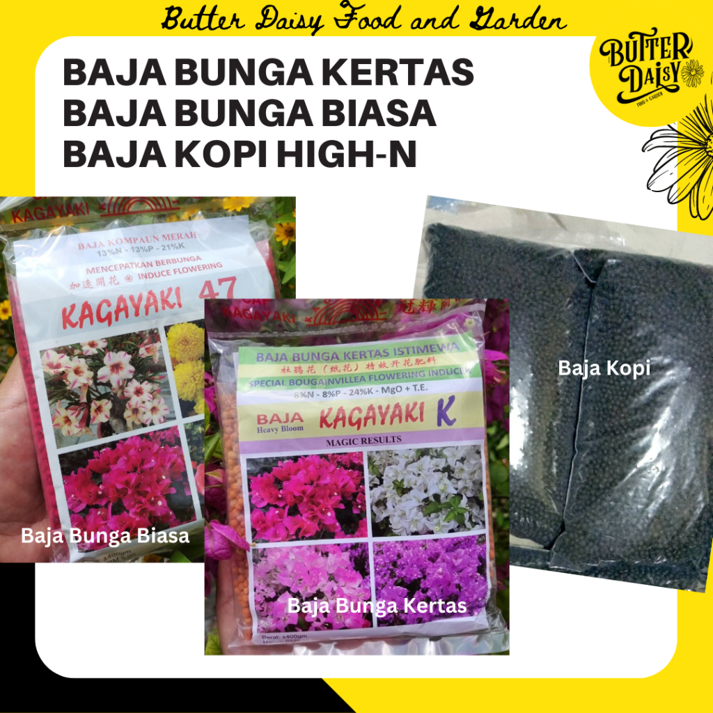 Baja super bunga/ baja bunga kertas/baja kopi/baja bunga merah power ...