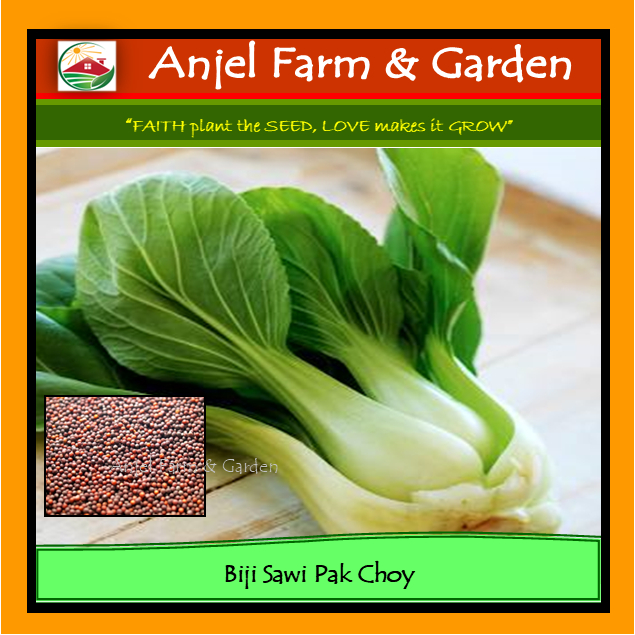 Biji Benih Pak Choy (100-200 biji) | Shopee Malaysia