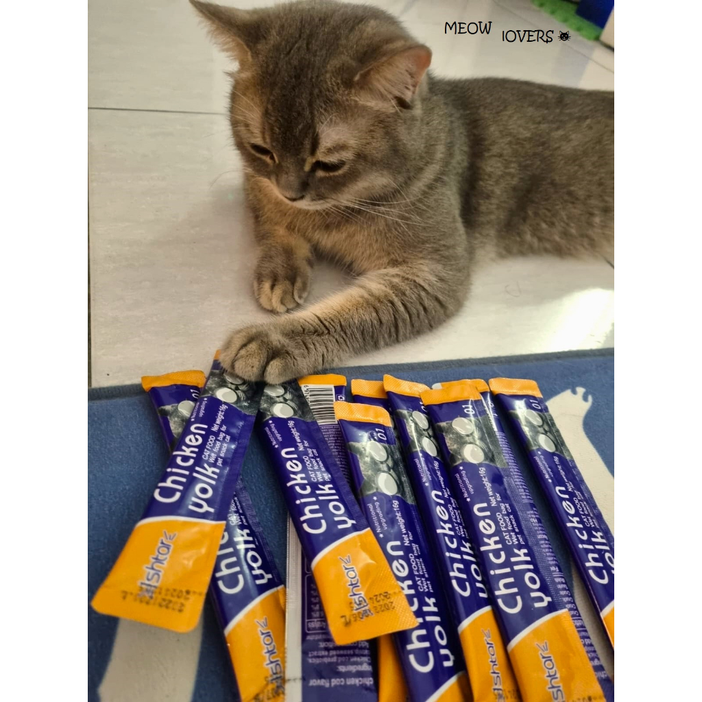 Ishtar 16g Cat Treat Cat Snack Cat Stick | Shopee Malaysia