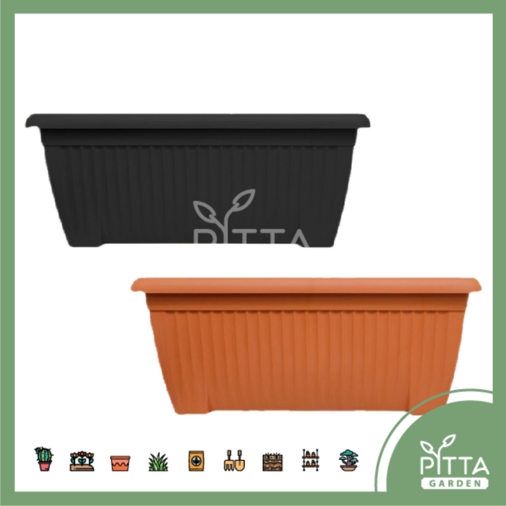 BABA 537 Volcano Box Plastic Pot With Hole COTTA / ZEN GREY | Shopee ...