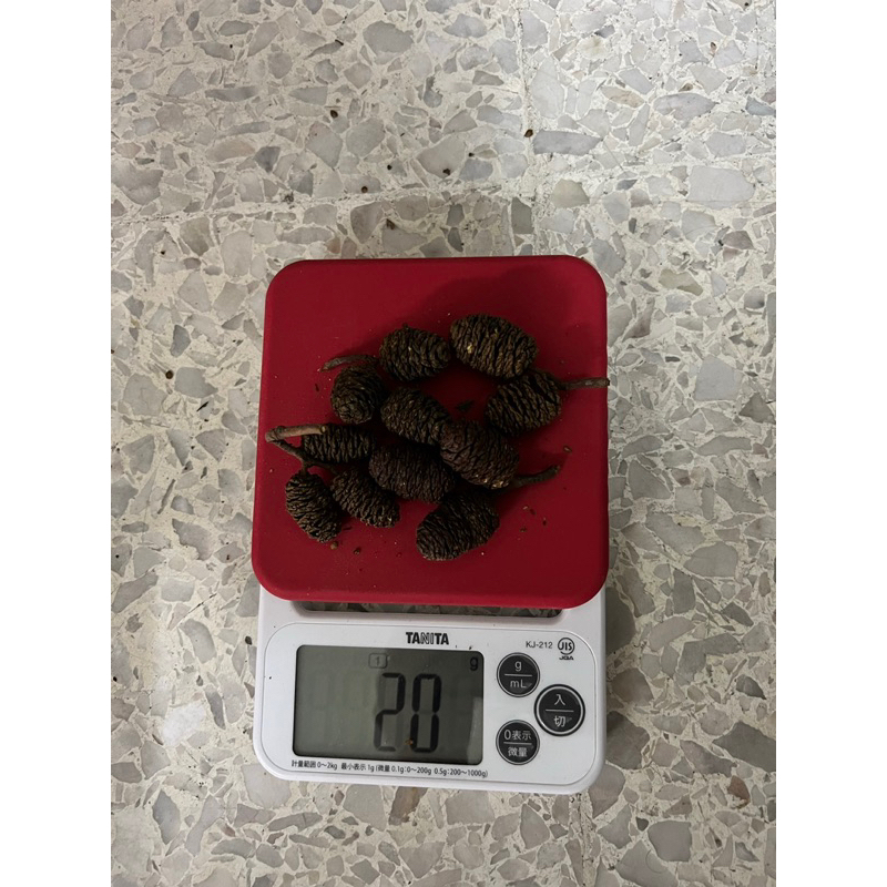 Shrimp Chef Pine Cones (20g) | Shopee Malaysia
