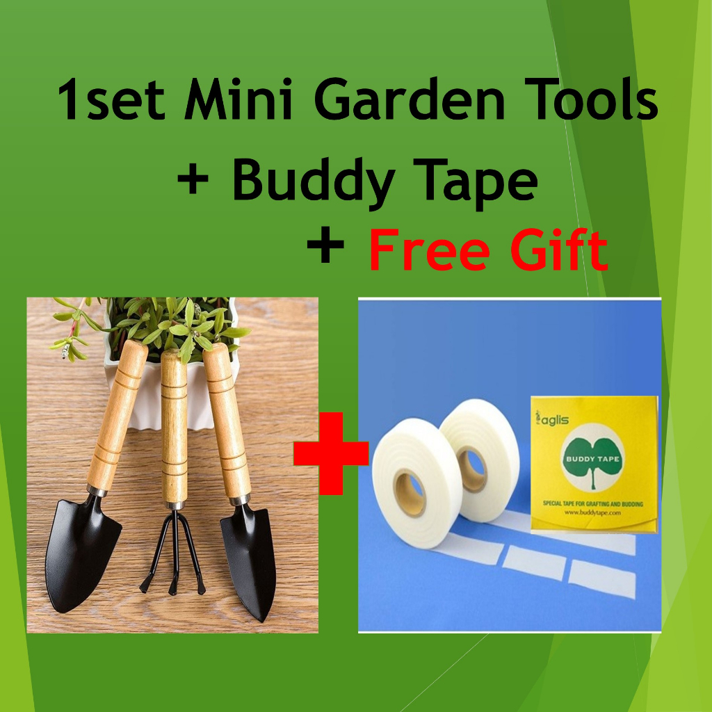 Buddy Tape/Grafting and Budding /3cm width/Japan Brand /Grating Tape ...