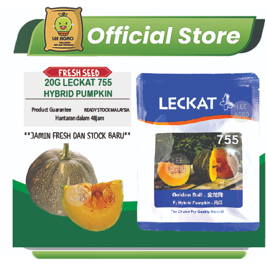 LECKAT 755 HYBRID SEEDS F1 GOLDEN BALL PUMPKIN SEEDS/BENIH LABU MANIS ...