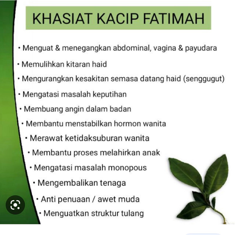 JAMU SERAPAT UTK WANITA ( ADA SIJIL HALAL) (hrgaa sebiji) | Shopee Malaysia