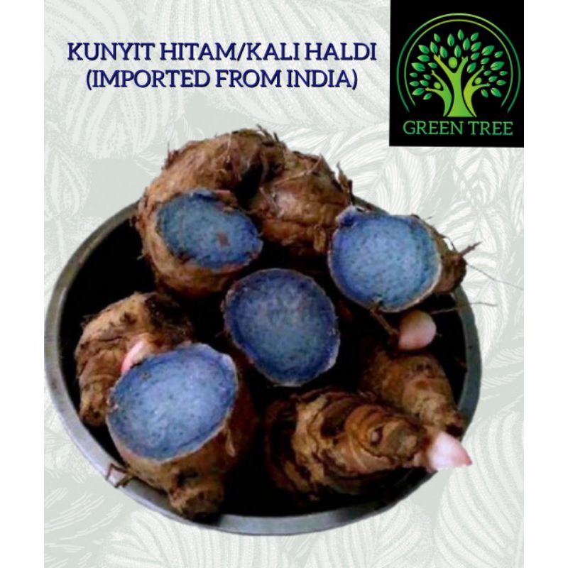 Kunyit Hitam Ori India (ISI BIRU🔵) (Kali Haldi/Curcuma Caesia) | Shopee ...