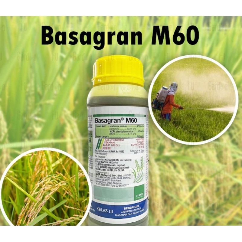 BASF BASAGRAN M60 Racun Rumput Air | Shopee Malaysia