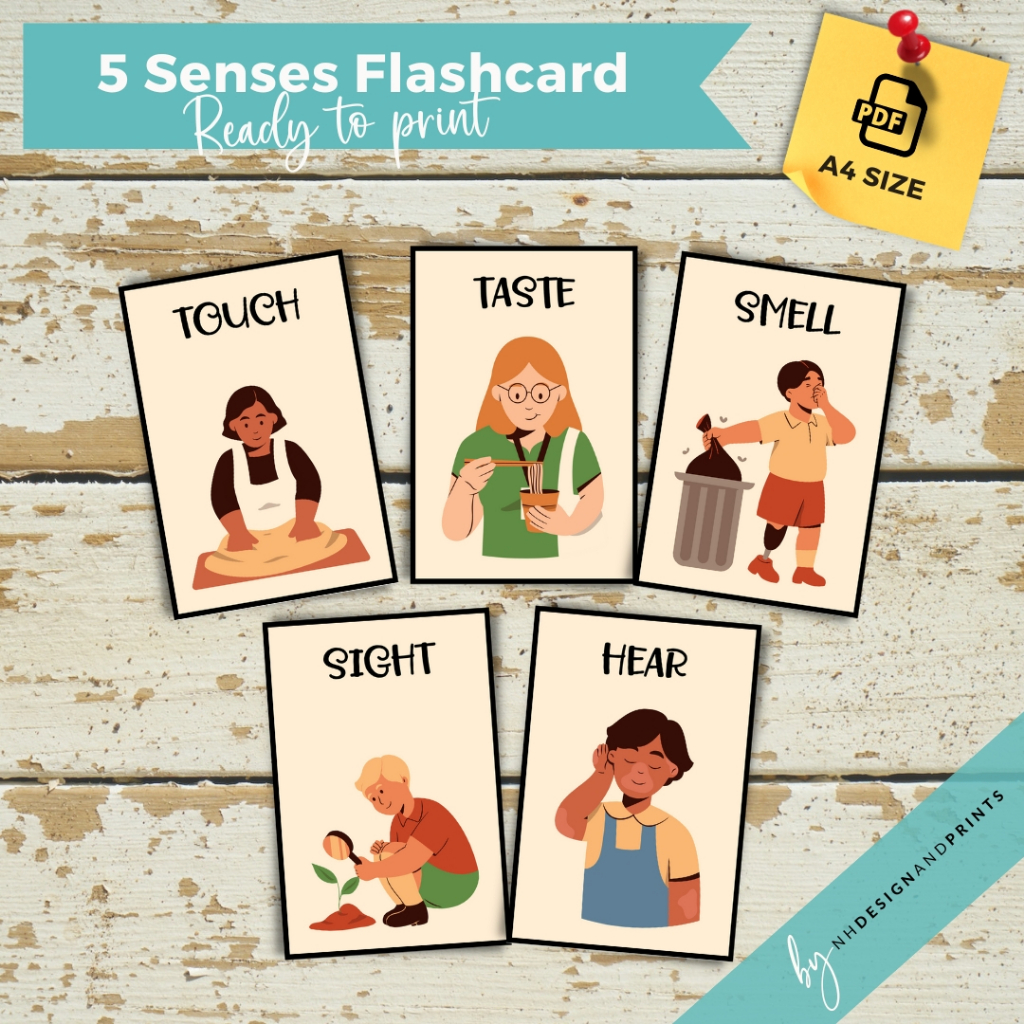 [Soft Copy PDF] Printable 5 Senses Flash Cards | Flashcard 5 Deria ...