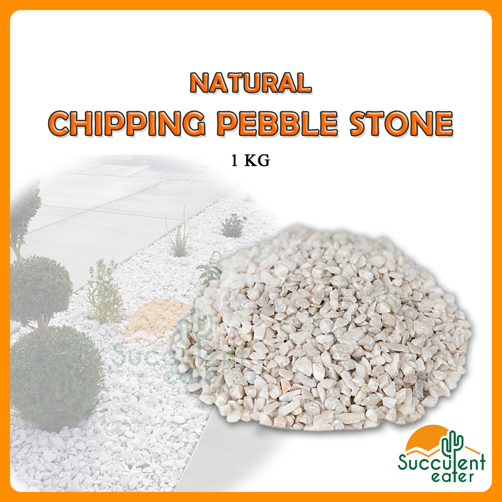 1KG White Chipping River Pebble Stone Gardening Landscape Decoration ...