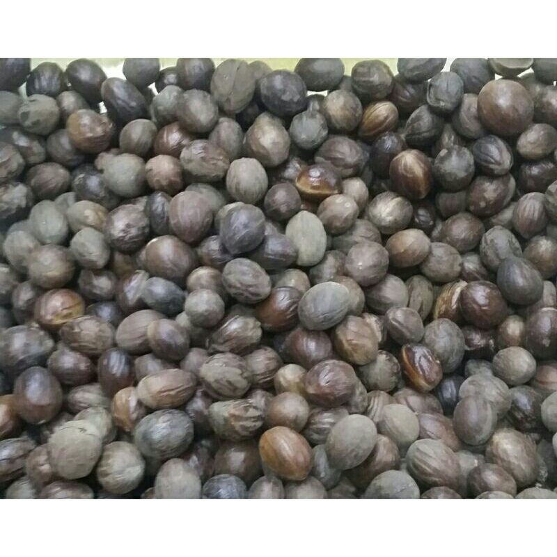1KG BUAH PALA KERING | Shopee Malaysia