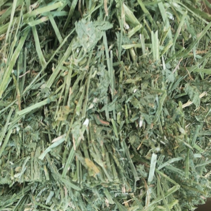 Alfalfa Hay 1kg Rumput Kering Alfalfa 1kg | Shopee Malaysia