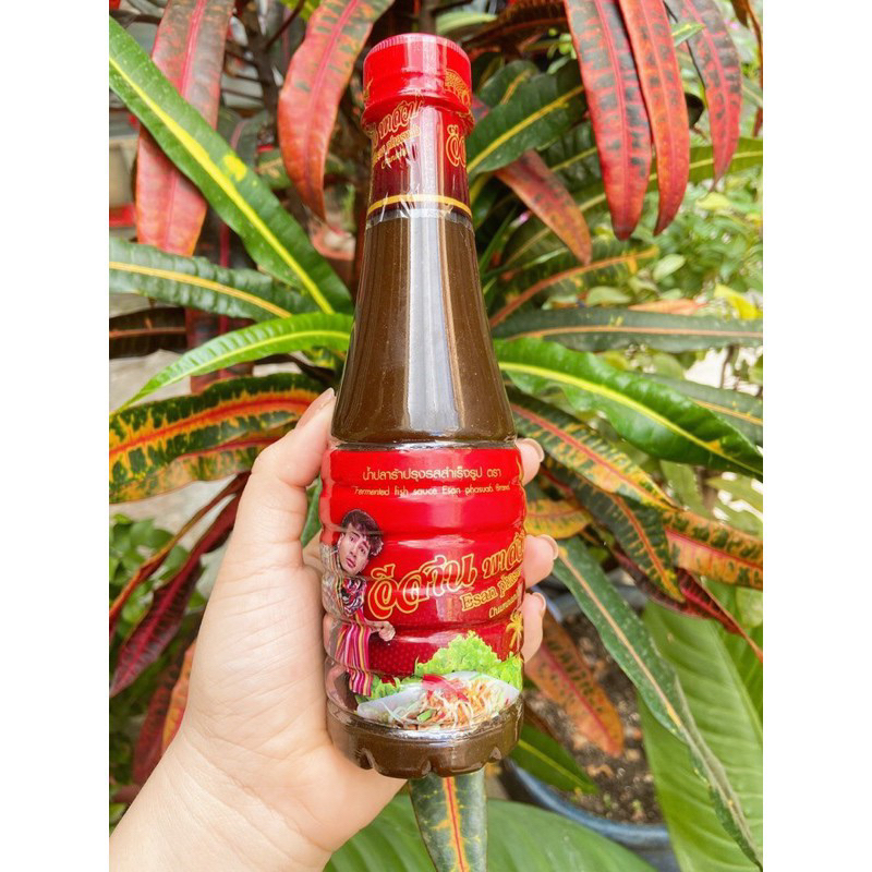 Mam Tron Somtam Thailand Plara Pala Budu SomTam Tummour Fermented Fish ...