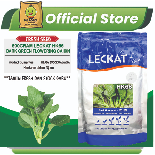 LECKAT HK66 008 SAWI MANIS SHANGHAI BIJI BENIH(BUNGA)WANG BUJANG SEED ...