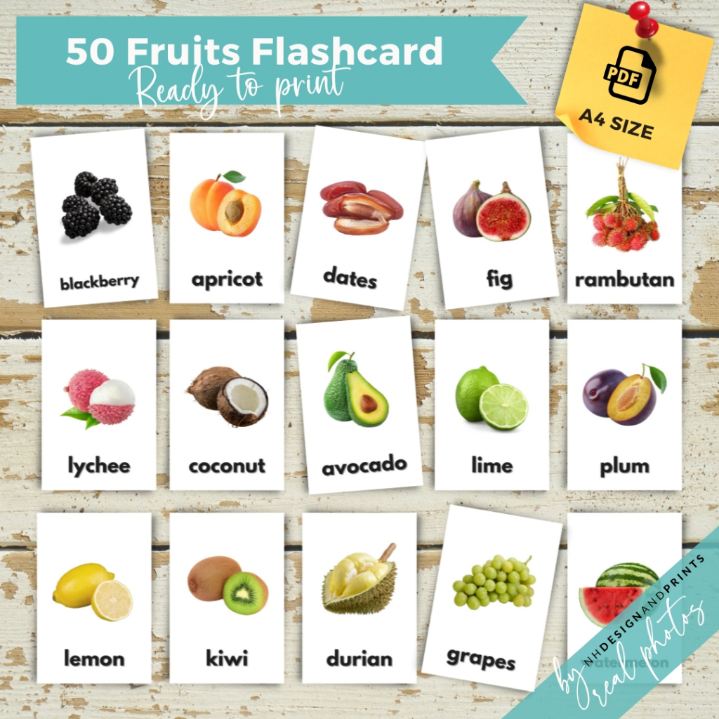 [Soft Copy PDF] Montessori Inspired Flashcard | Printable Real Photo ...