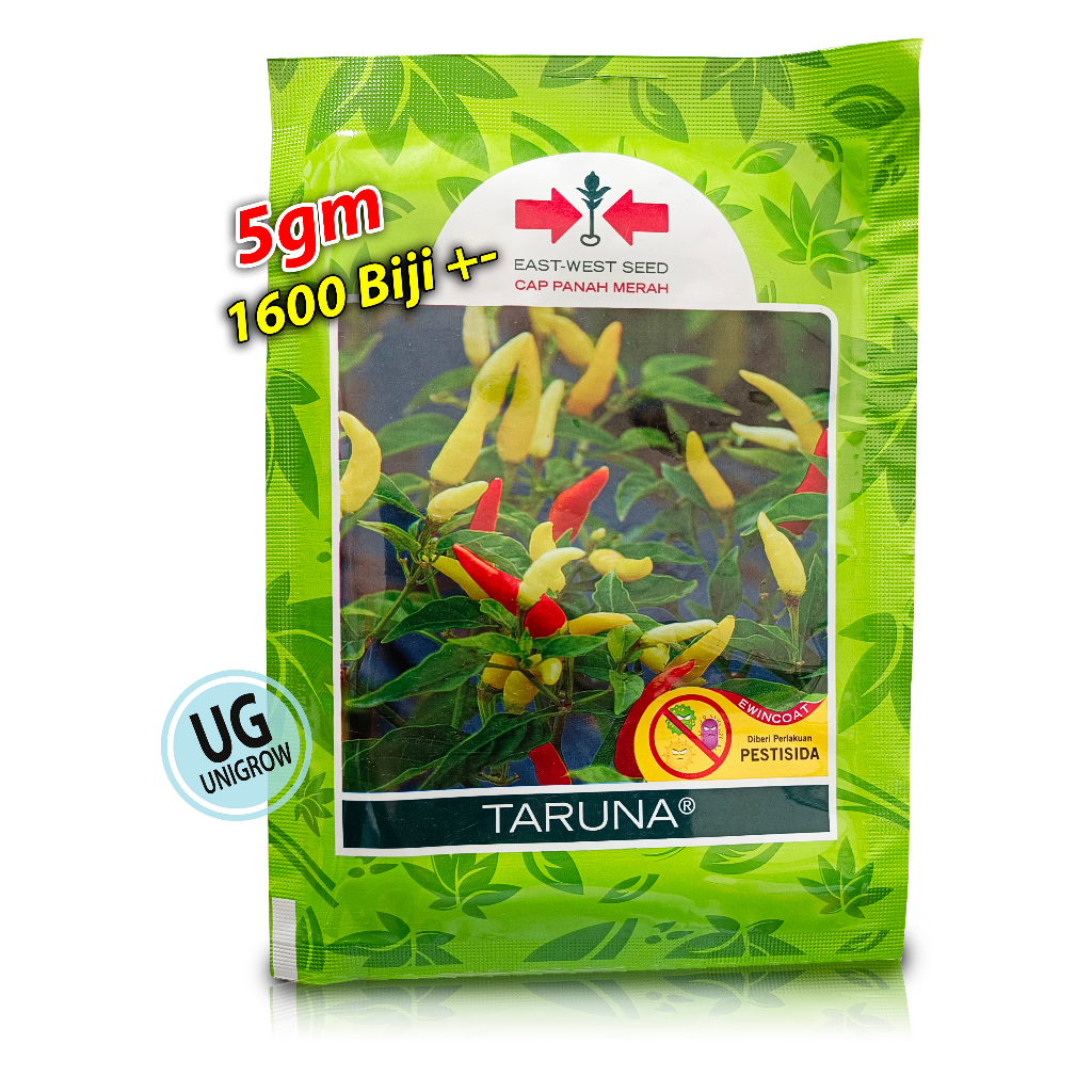 (10gm) +-1600 Biji Taruna Cili Rawit Cili Kampung Cili Padi Cili Api ...