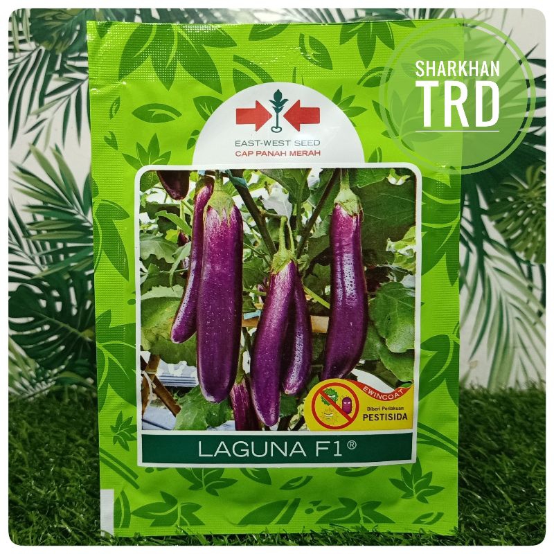 Paket 1100 Biji LAGUNA F1 Panah Merah Indonesia Benih Terung Mini Macam ...