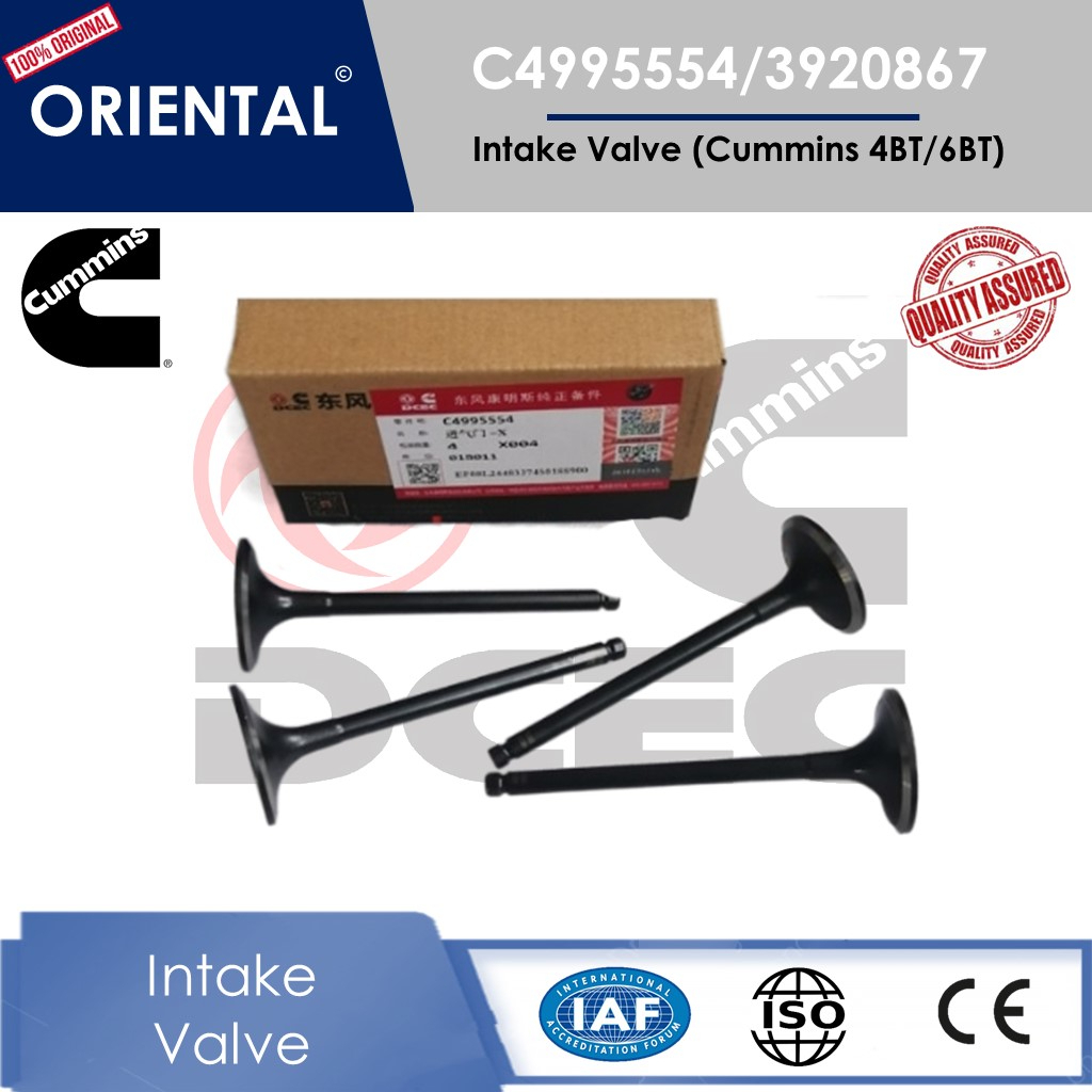 Cummins 4995554 / 3920867 Intake Valve for 4BT & 6BT | Cummins Intake ...