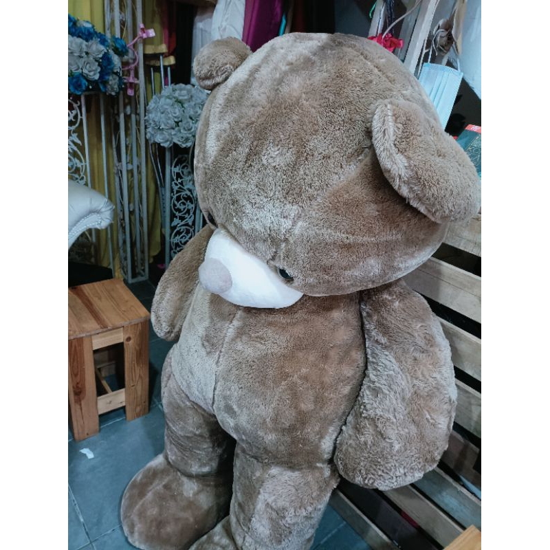 Teddy Bear Besar Prelove | Shopee Malaysia