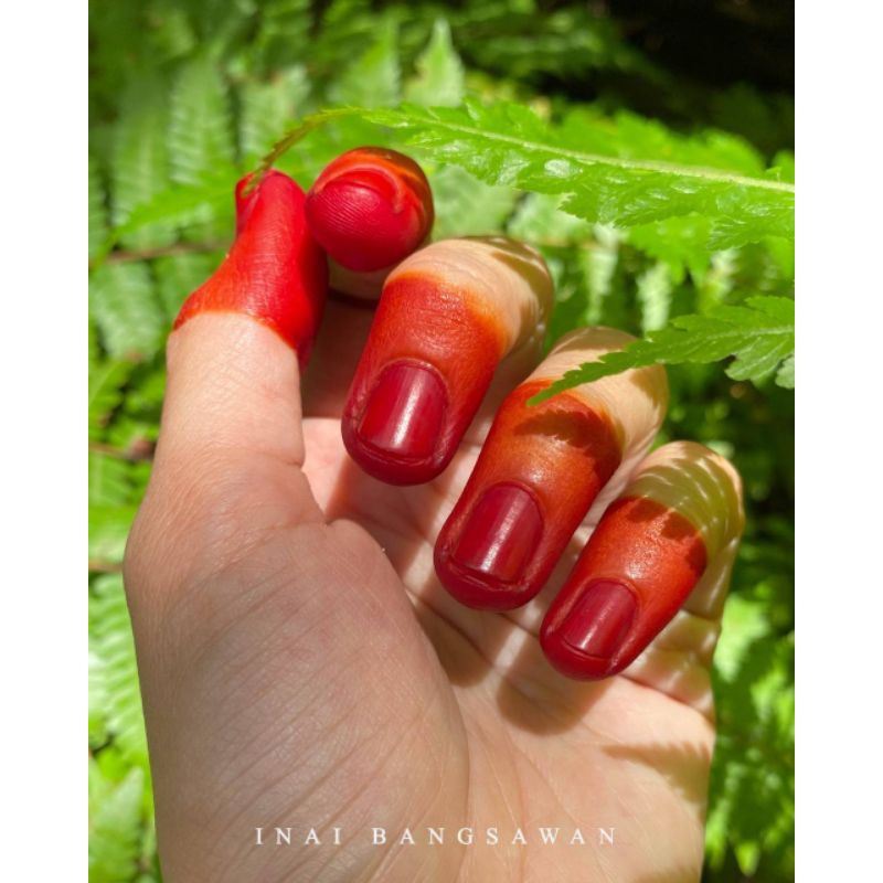 Inai Original 100% Daun Inai Asli Sah Solat | Tiada Pewarna campuran ...