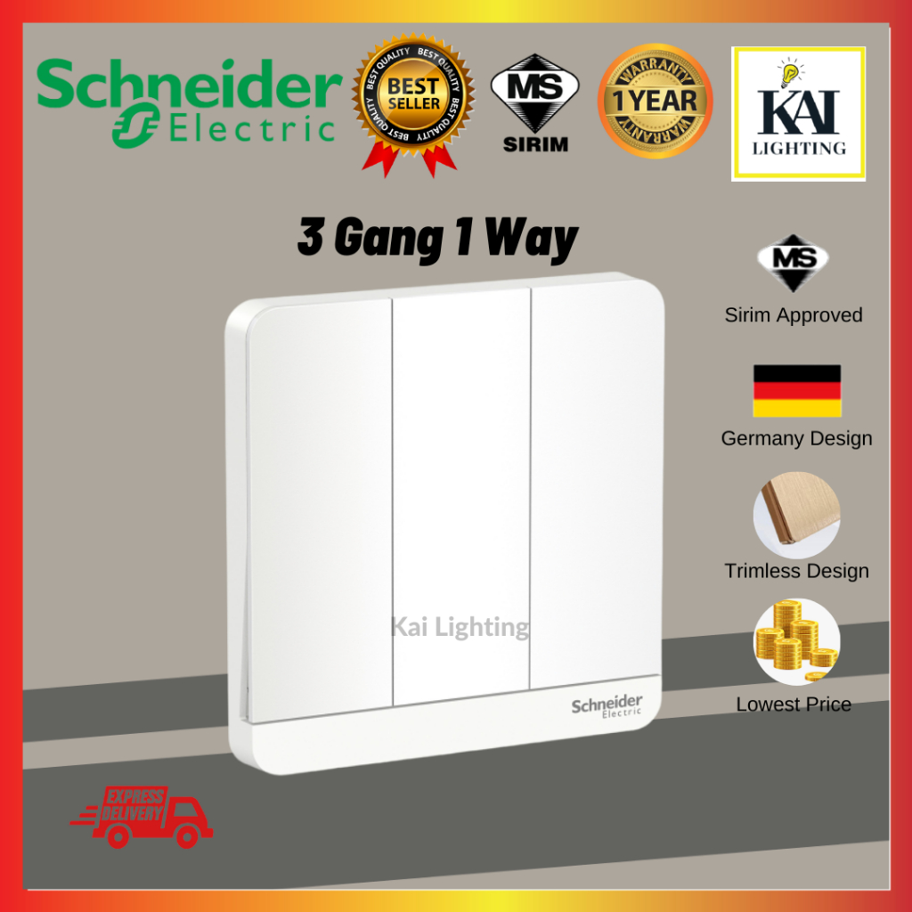 Schneider Electric Avatar On Full Series Switches With Fluorescent ...
