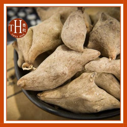 五倍子 棓子 Galla Chinensis 百虫仓 50G | Shopee Malaysia