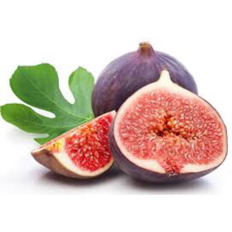 POKOK TIN JUMBO HIBRID buah besar , pokok FIG PLANT JUMBO POKOK TIN ...