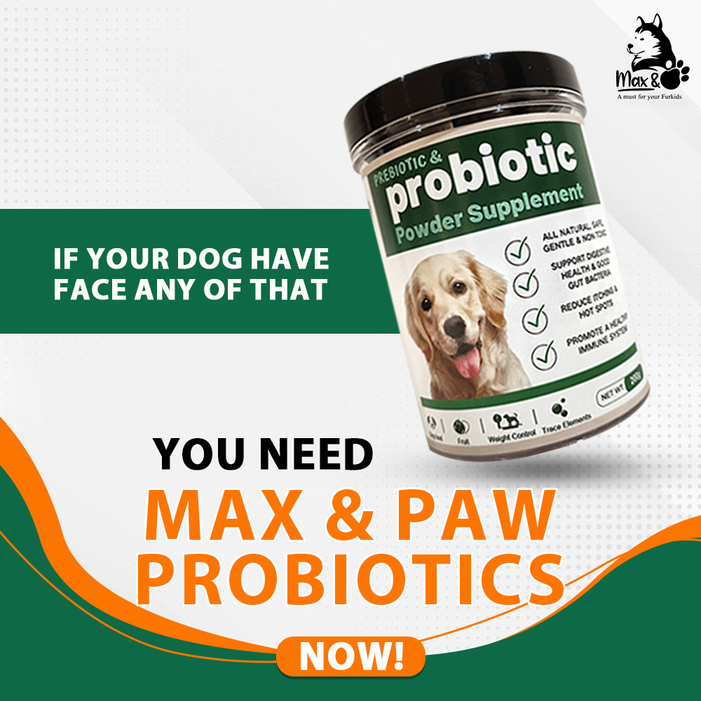 【OFFICIAL】Max & Paw Pet Supplement Dog Supplement Probiotic - All ...