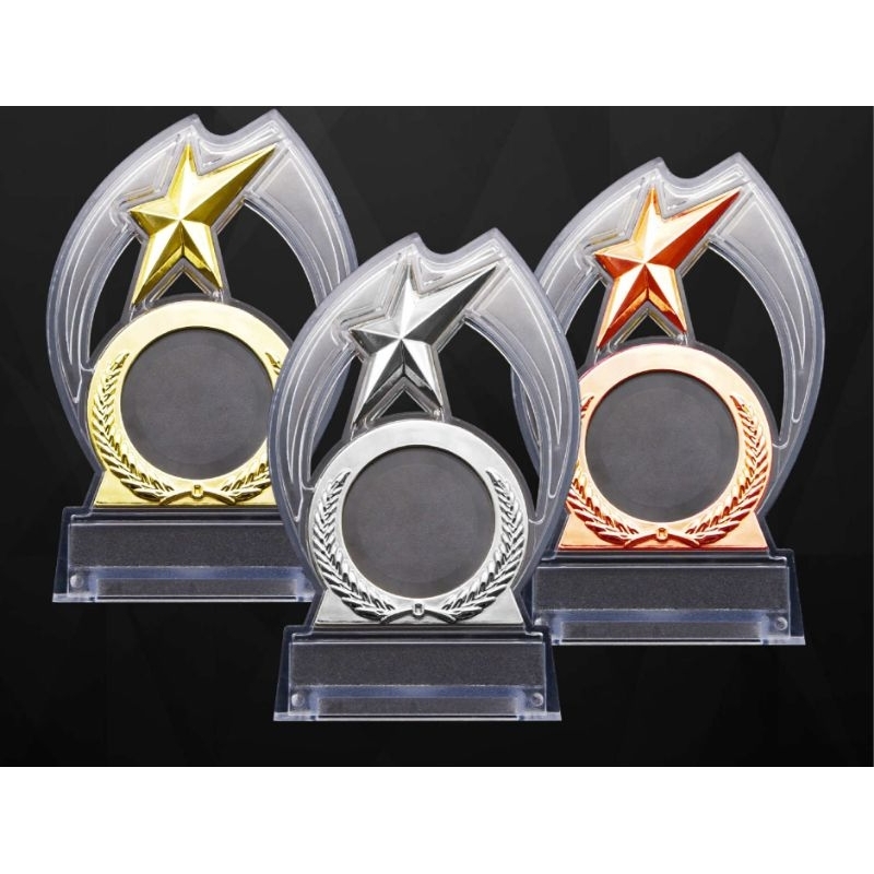 4172 Star Acrylic Plaque (GOLD, SILVER, BRONZE) | Shopee Malaysia