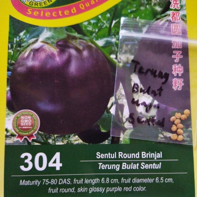 10-30 biji benih TERUNG BULAT HIJAU / UNGU / OREN asam/ PUTIH Ulam ...