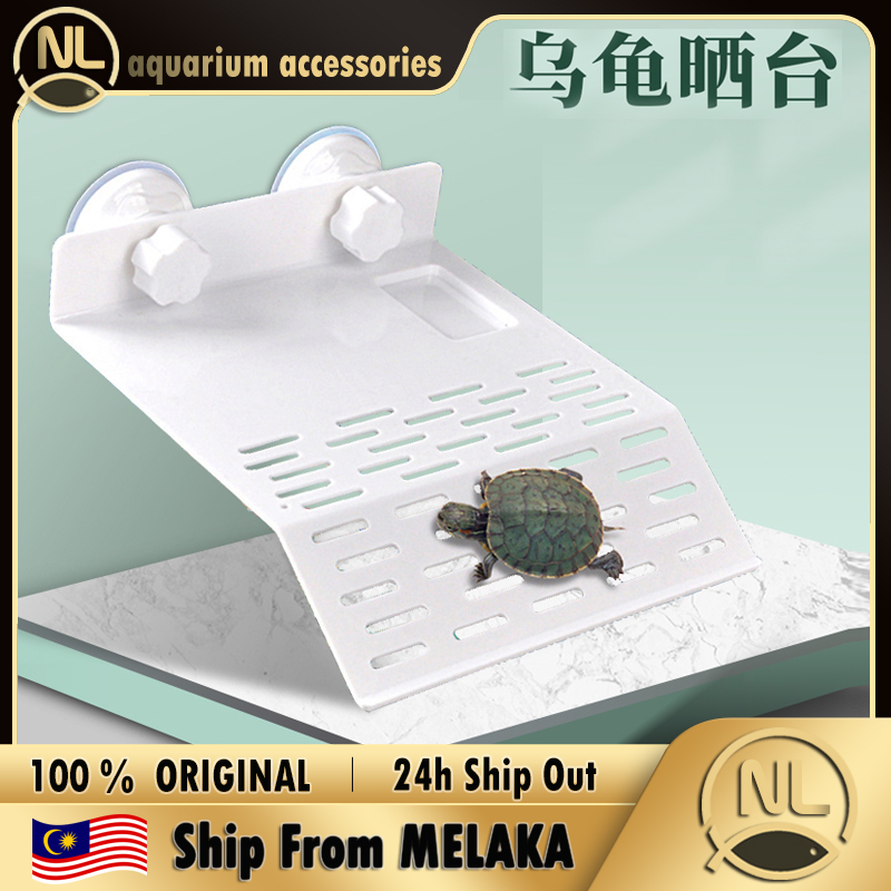 Aquarium Acrylic Plastic Turtle Tortoise Reptile Climbing habitat ...