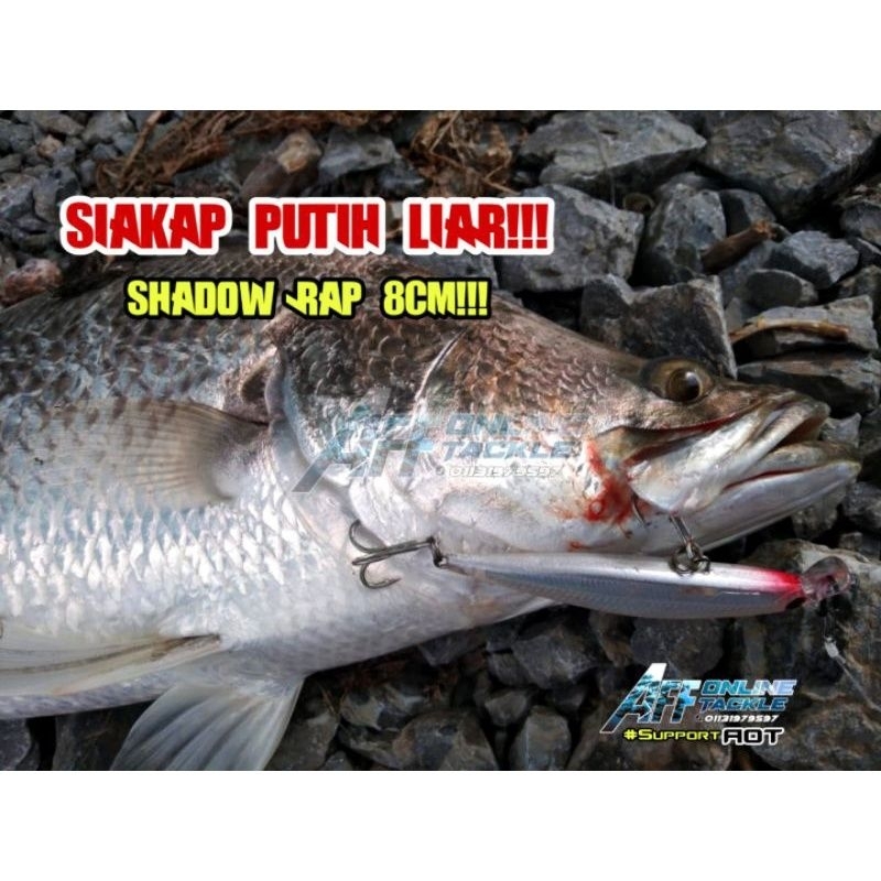 Mini Minnow Shadow rapp 5g 8cm umpan siakap, peacockbass, | Shopee Malaysia