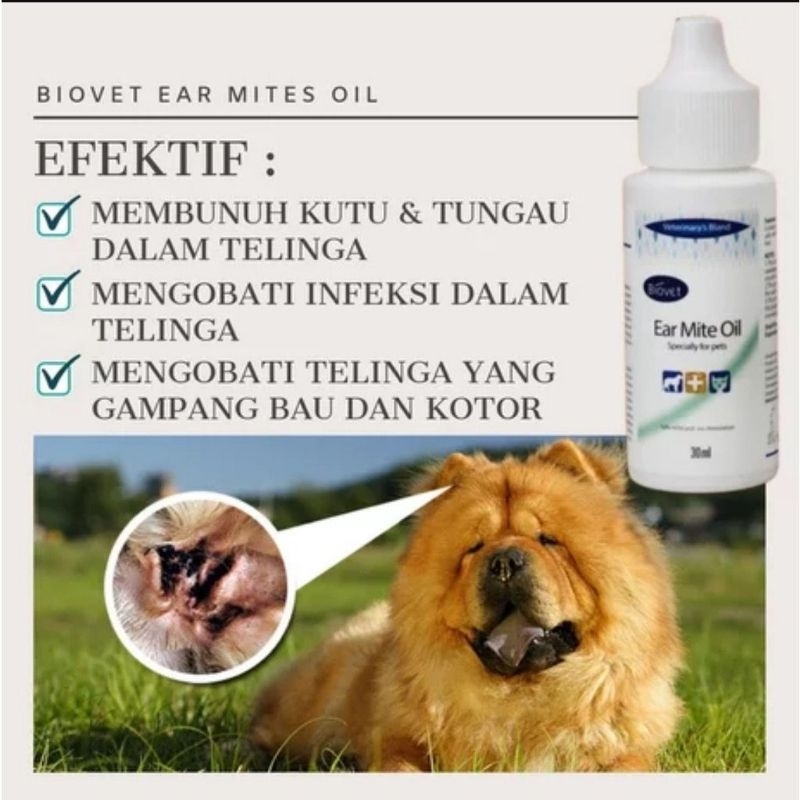 Biovet Ear Mite Oil (Cuci Telinga Kasi Bersih) | 30ml | Shopee Malaysia