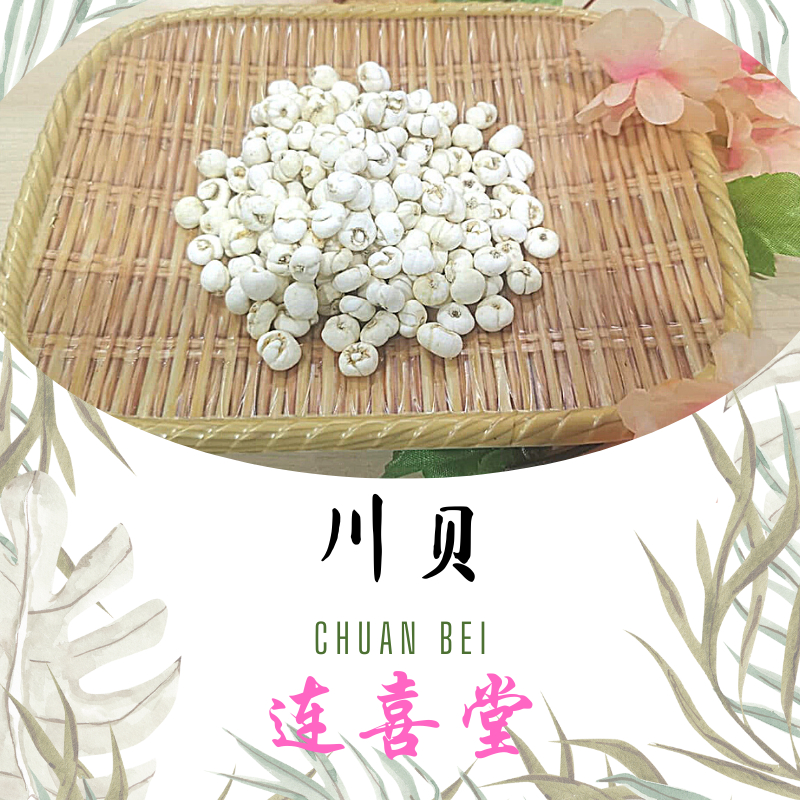 川贝 CHUAN BEI 20g - 100g（Unibract Fritillary Bulb） | Shopee Malaysia