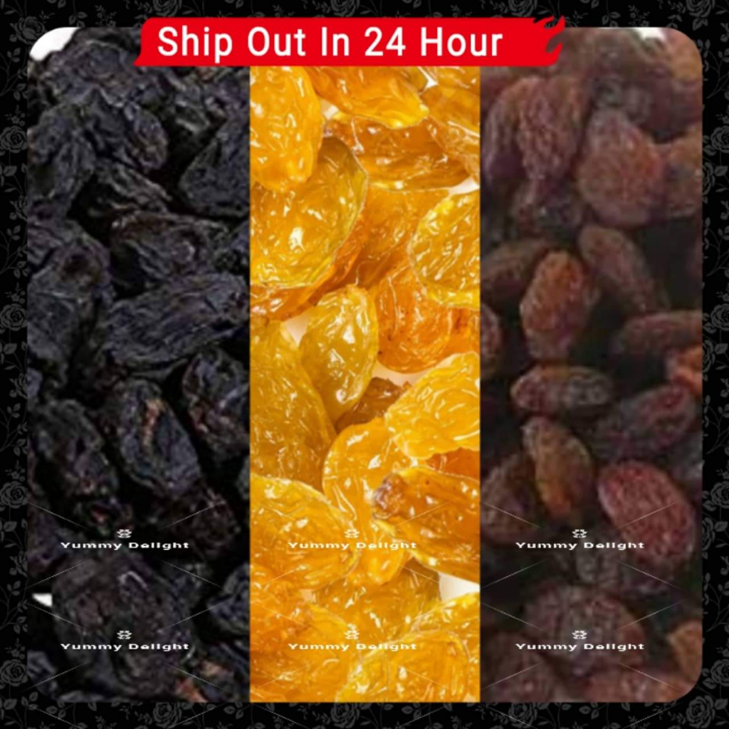 Sultana Raisins / kismis raisin / Black raisin / Golden Raisin | Shopee ...