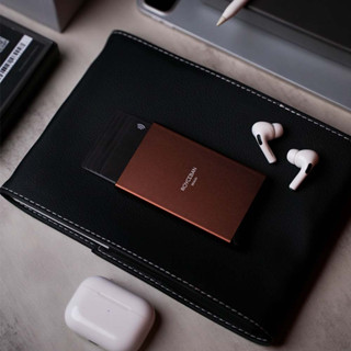 ROYCEBAN DAVINCI SERIES [BRAUN] | Card Wallet Slim Pop Up Metal Card ...