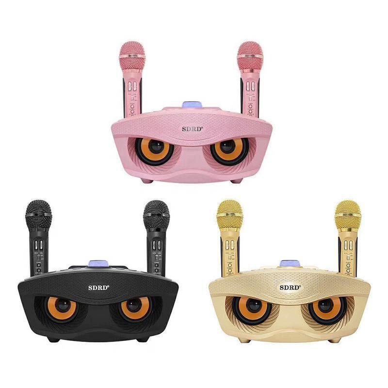 SDRD SD-306/306Plus/308 Wireless Bluetooth Dual Microphone Karaoke ...