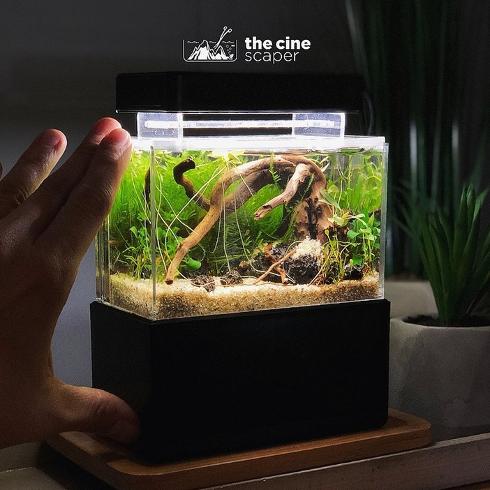[Aqua Nature] Mini Complete Tank - Aquarium (Black/White) [The Smallest ...