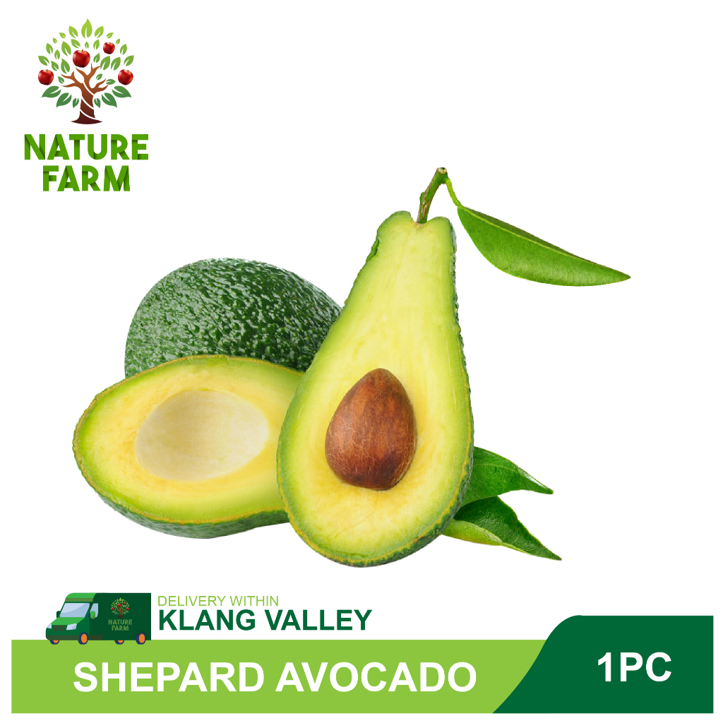 Nature Farm Fresh Shepard Avocado (1PC) | Shopee Malaysia