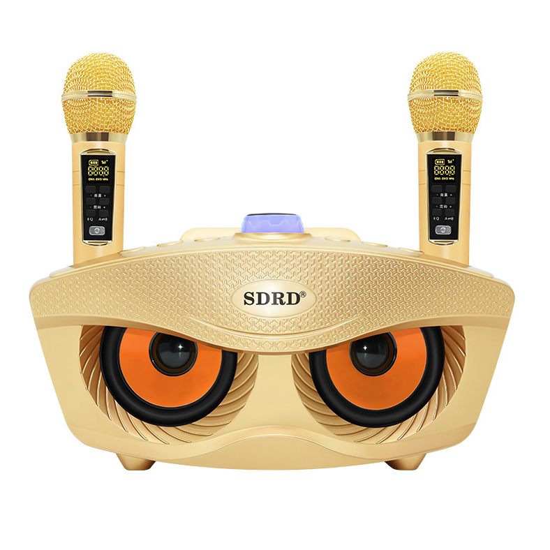 SDRD SD306 / SDRD SD 306 plus Wireless Bluetooth Dual Microphone Home ...