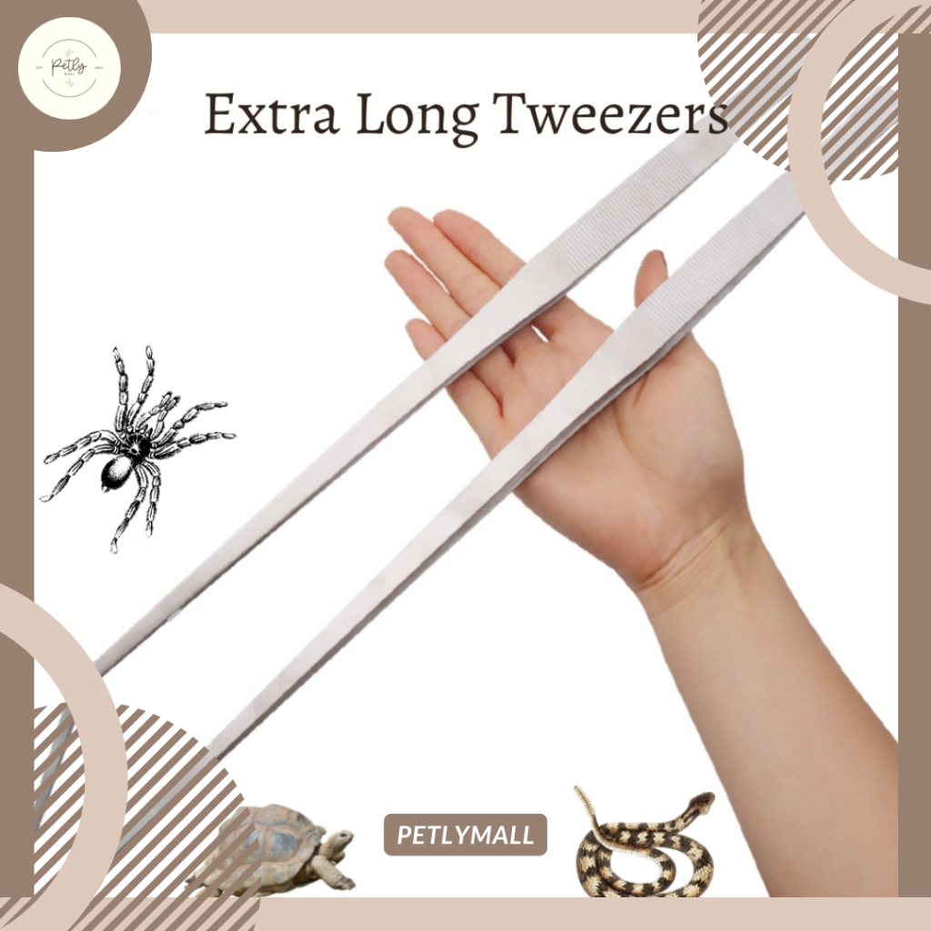 [PetlyMall] Universal 48CM Straight/Crooked Stainless Steel Tweezer For ...