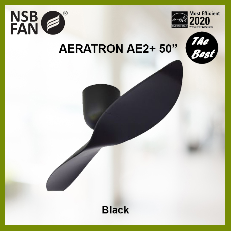 NSB FAN AERATRON AE2+ WIFI READY 50 INCH DC MOTOR 2 BLADE REMOTE ...