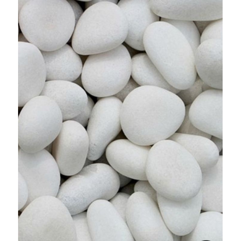 Batu putih batu asli dari bukit batu kapur borong | Shopee Malaysia