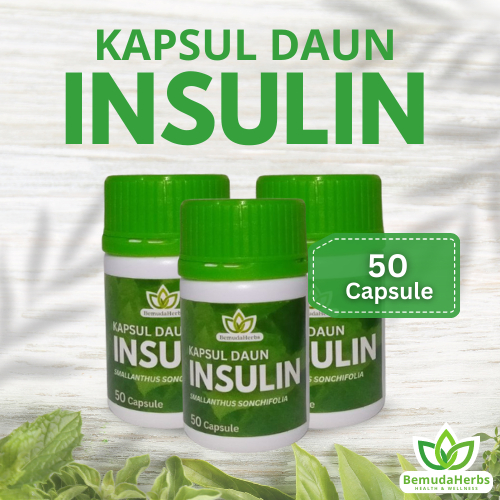 [50 Kapsul] Kapsul Daun Insulin / Kapsul Yakon / Kapsul Insulin ...