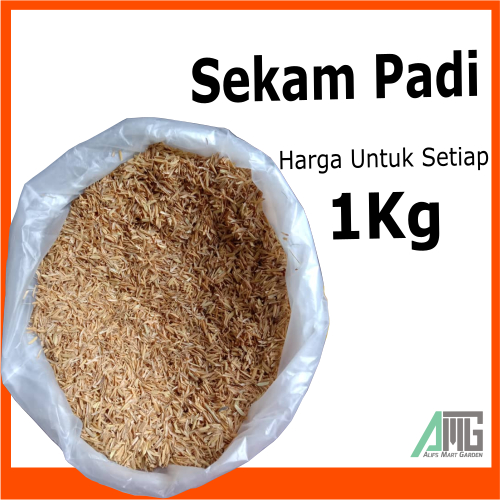 SEKAM PADI 1Kg Mentah Fertigasi Husk Raw Paddy Medium Gembur Tanaman Benih Untuk Penggalak Akar ...