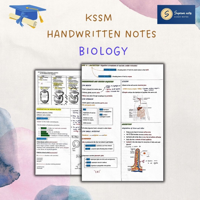 KSSM SPM BIO A+ SHORT NOTES | FORM 4 NOTES [PDF] | CHEAPEST IN THE ...