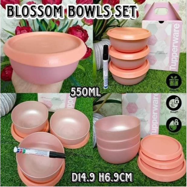 Tupperware Blossom Bowls 550ml 1set 3pcs | Shopee Malaysia