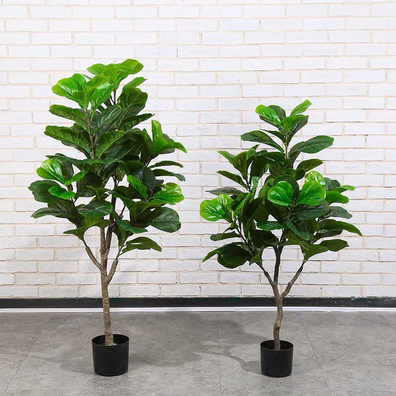 Fiddle Fig Artificial Plant Pokok Viral PREMIUM (READYSTOCKS) | Shopee ...