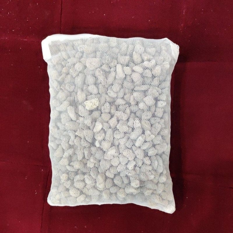 Pumice Stone Media Filter Aquarium | Shopee Malaysia